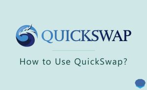 QuickSwap Exchange Tutorial: How to Use QuickSwap? Fees - Dappgrid
