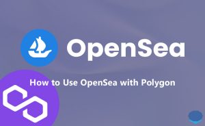 How to Use OpenSea with Polygon - Dappgrid